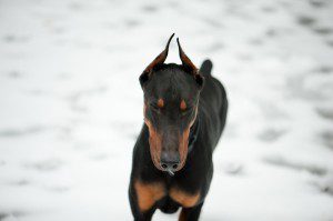 Snow in Atlanta | The Perfect Storm | Snowpocalypse 2011 - Atlanta ...